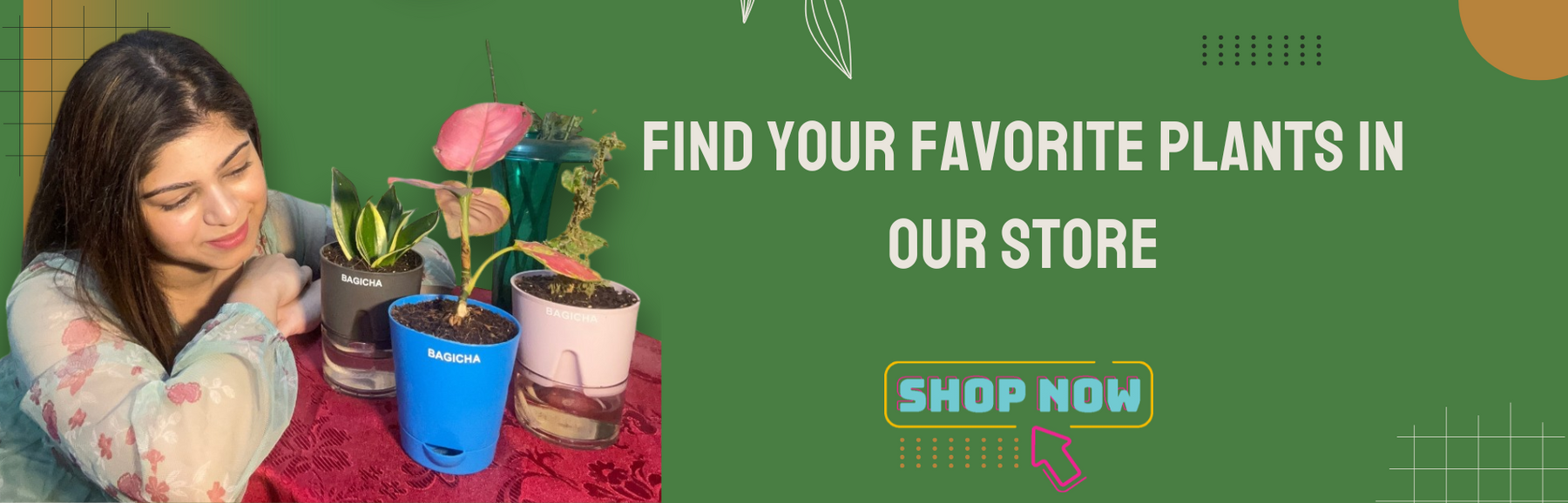 Bagicha: Har Ghar Ki Pasand – Premium Live Plants Online