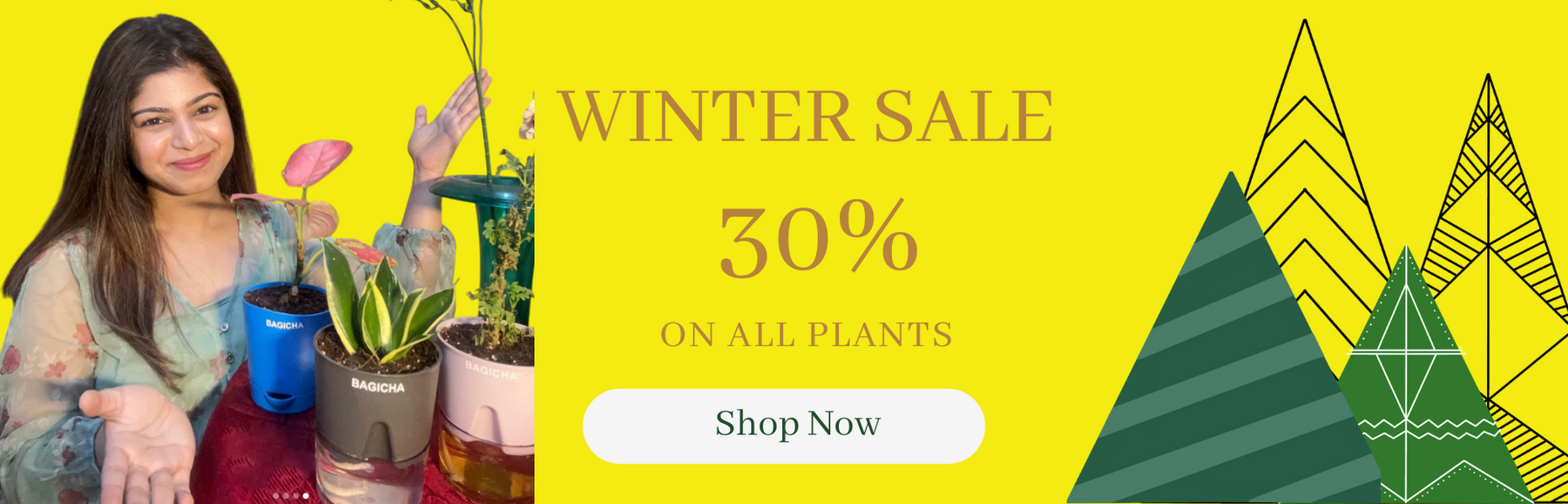 Bagicha: Har Ghar Ki Pasand – Premium Live Plants Online